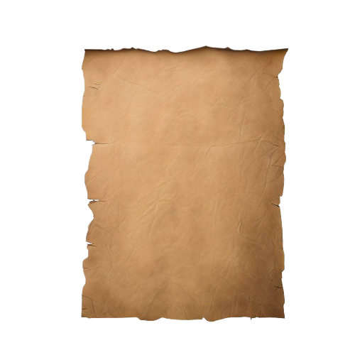 Document Document